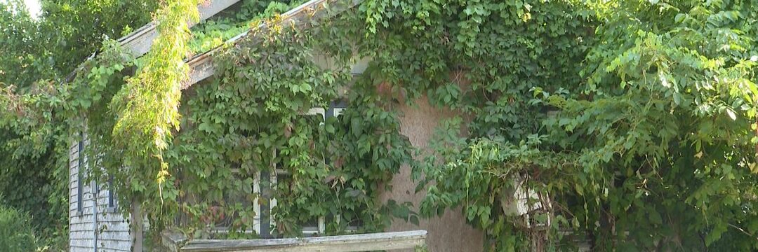 ≡ Pérgola De Parra